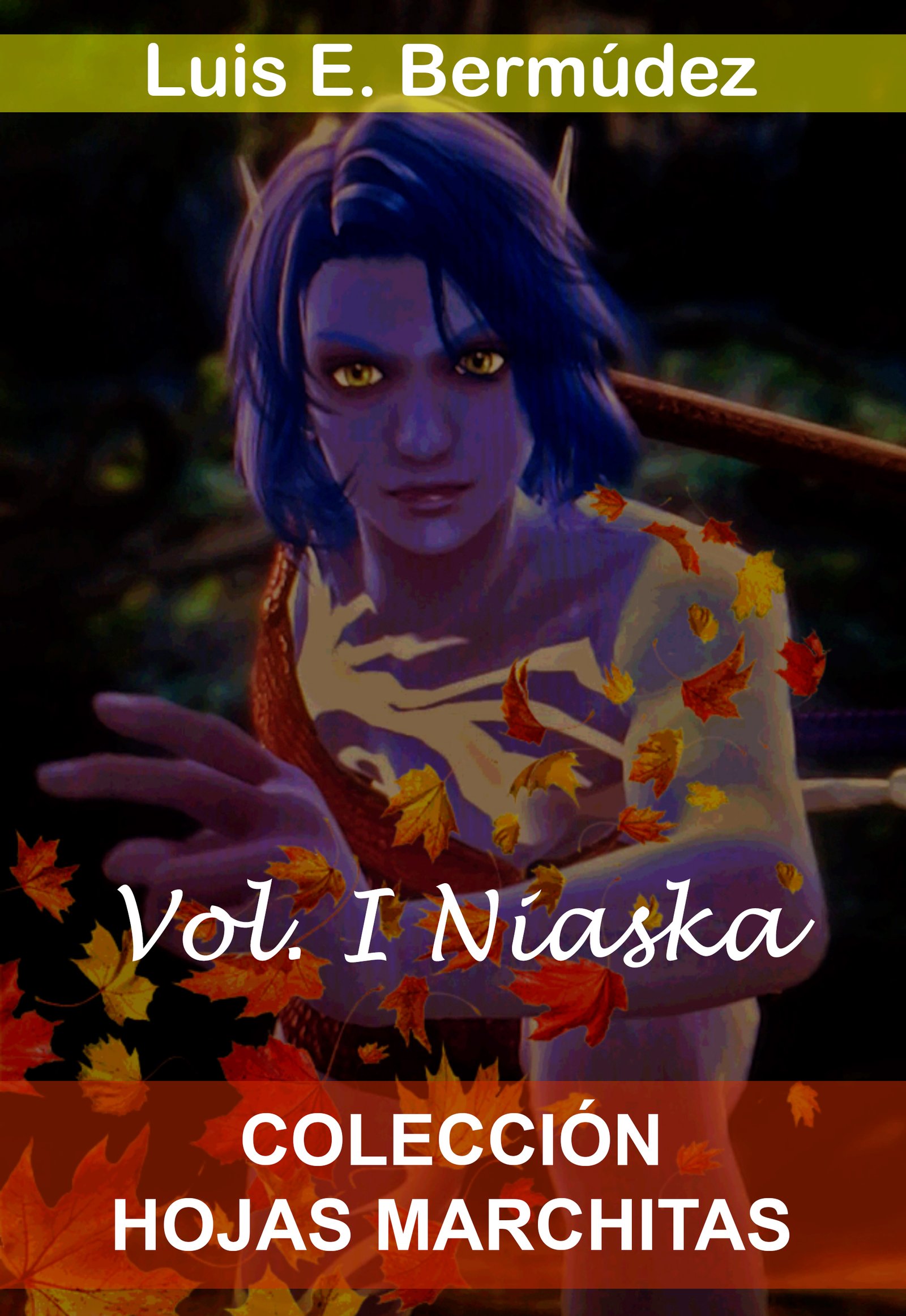 Niaska_Portada – El rincón literario de Luisen